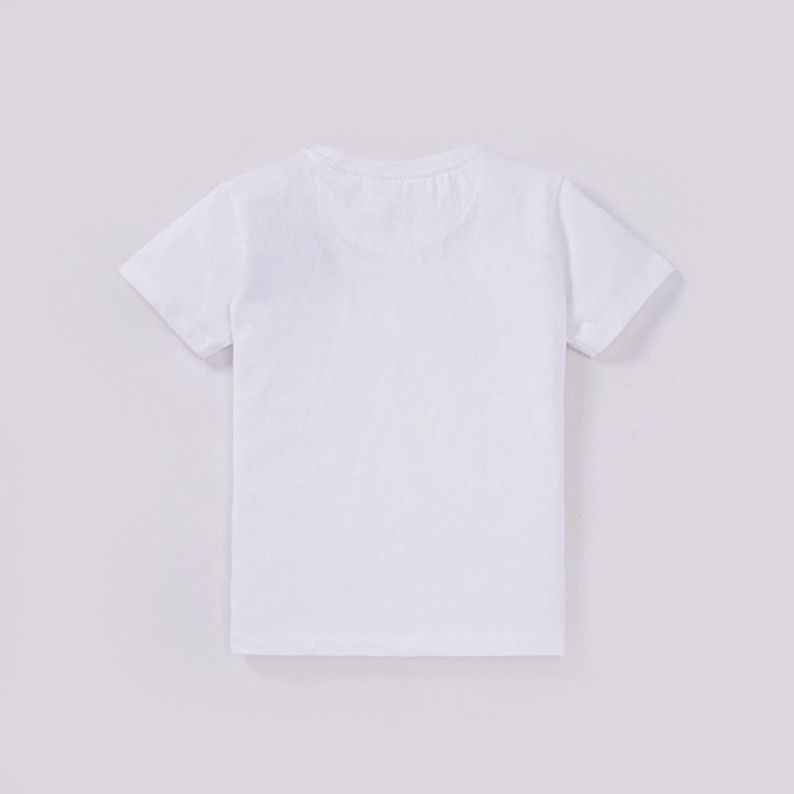 Buy ED-A-MAMMA Boys Printed Crew Neck T-shirt - Set of 2 from Ed-A ...