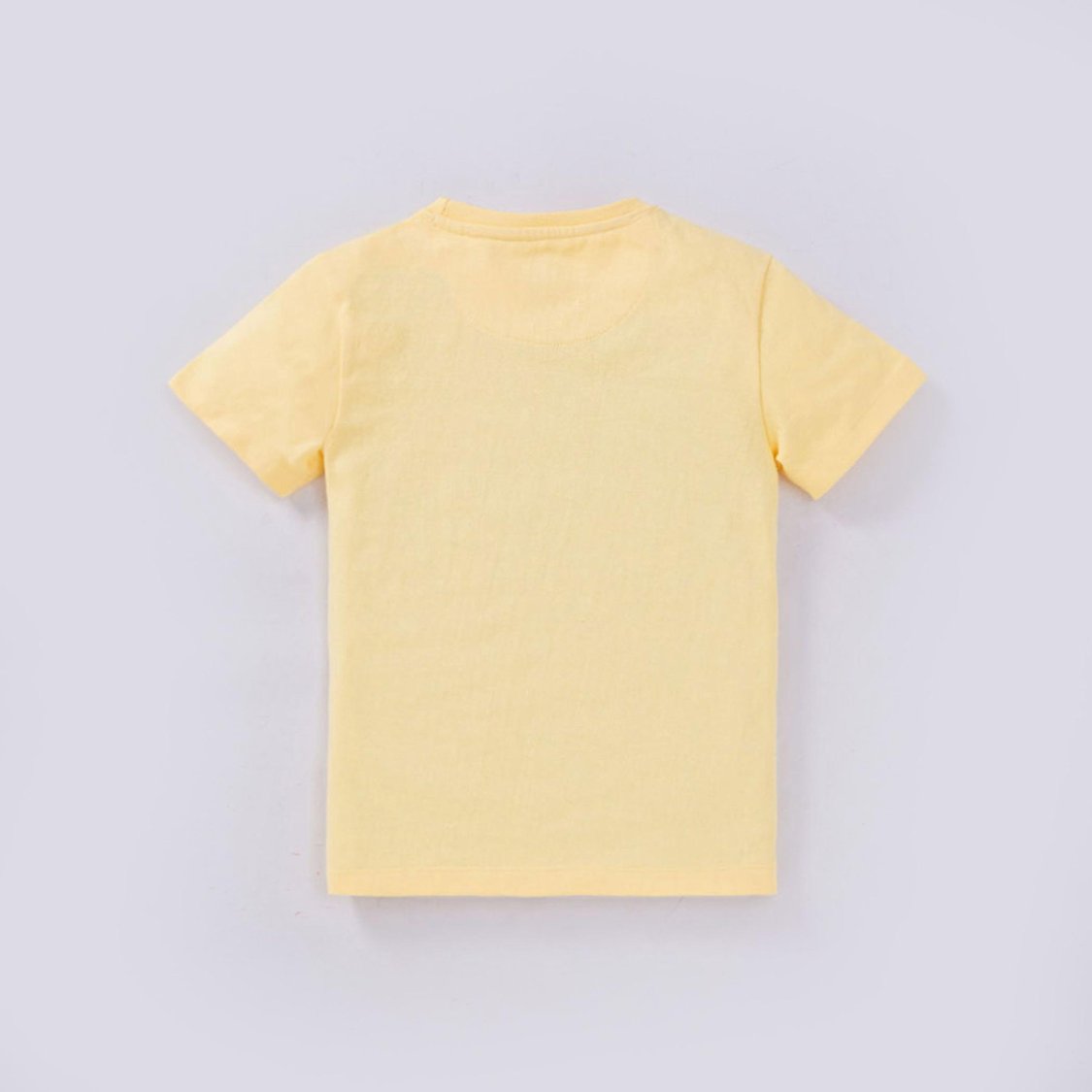 Buy ED-A-MAMMA Boys Printed Crew Neck T-shirt - Set of 2 from Ed-A ...