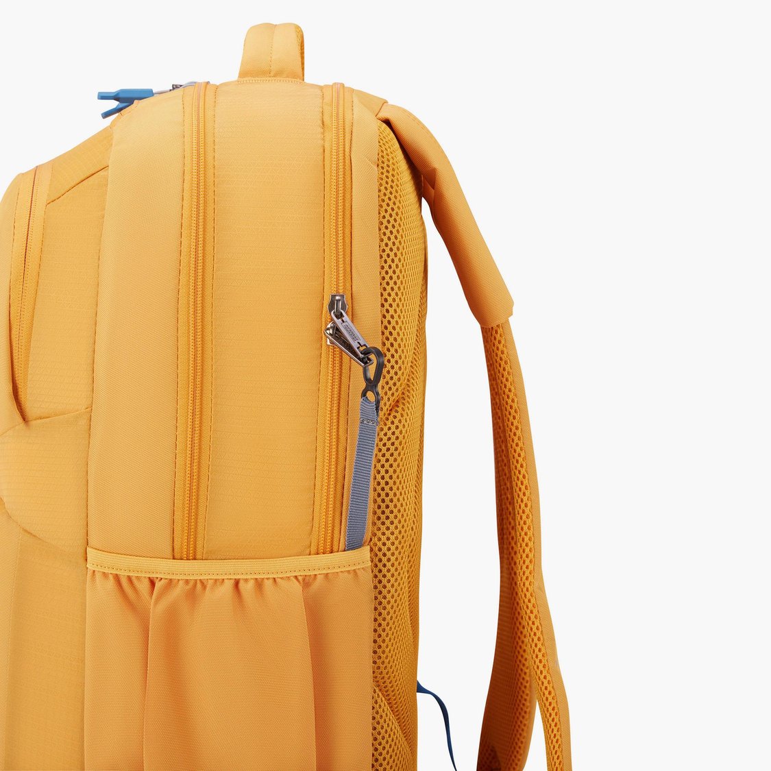 Buy AMERICAN TOURISTER Unisex Solid Laptop Backpack from American ...